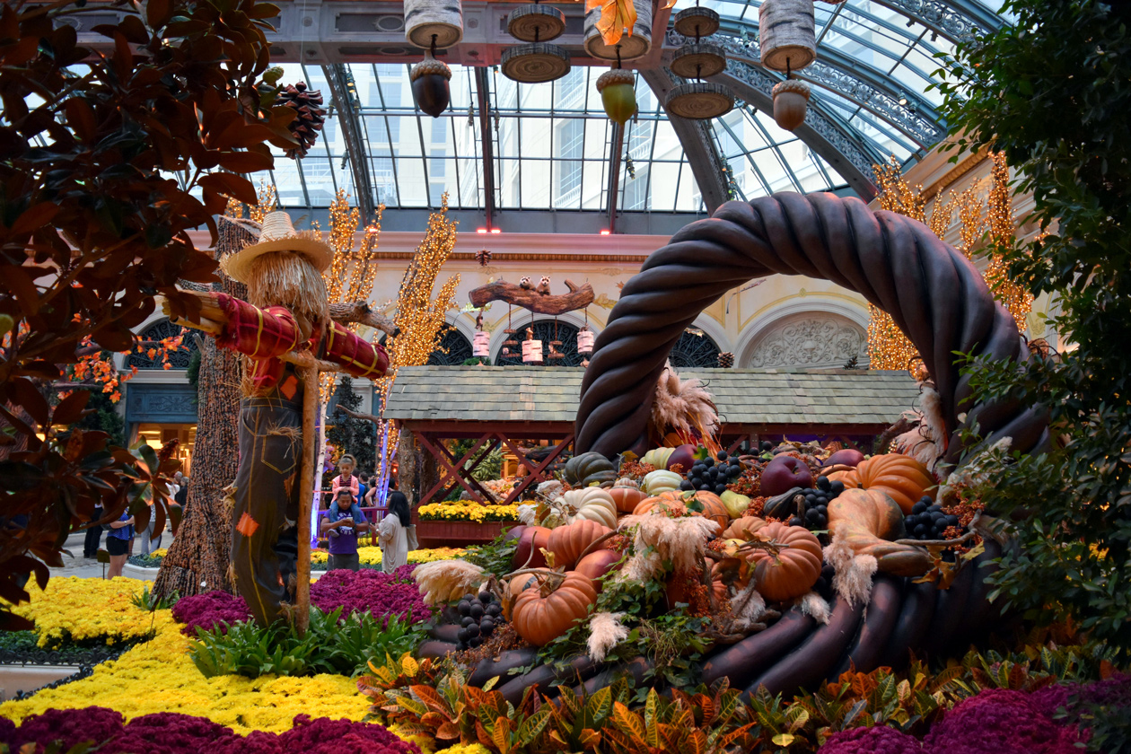 Bellagio Fall 2015 Botanical Gardens, Las Vegas – Cvetybaby