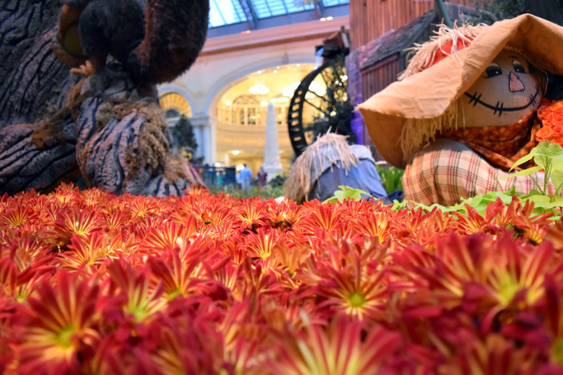 Bellagio Fall 2015 Botanical Gardens, Las Vegas – Cvetybaby