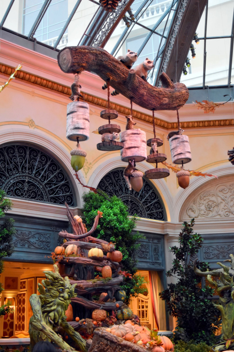 Bellagio Fall 2015 Botanical Gardens, Las Vegas – Cvetybaby