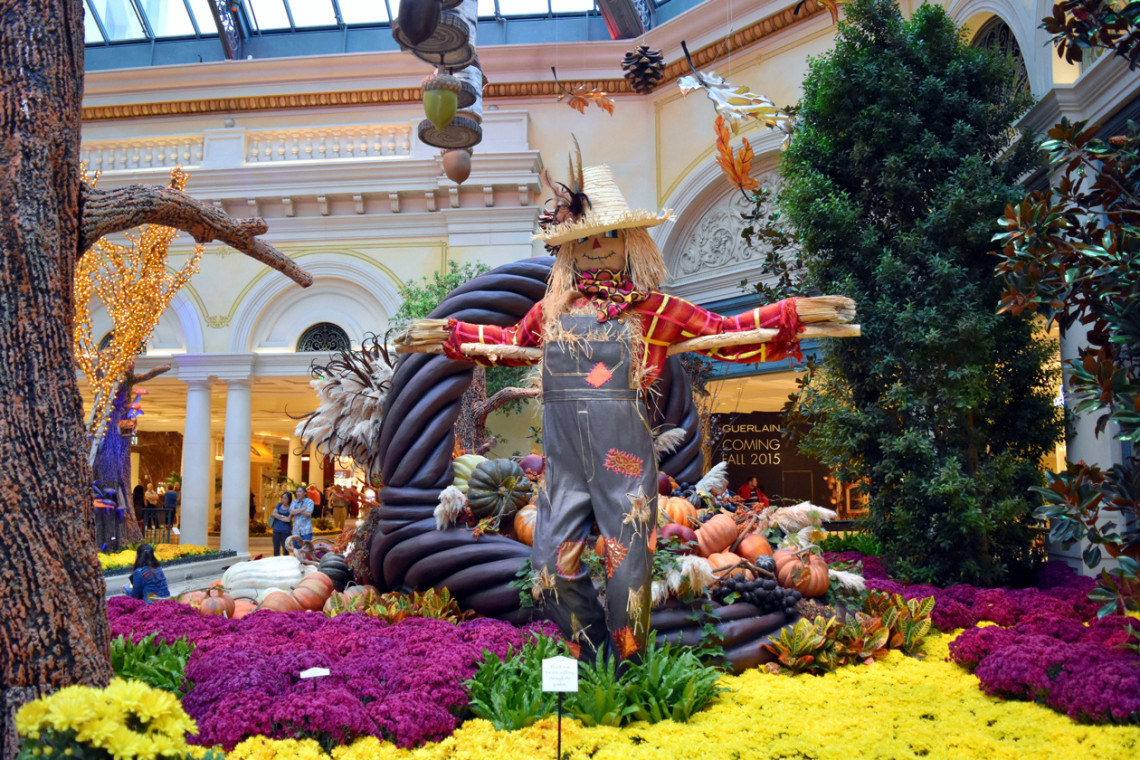 Bellagio Fall 2015 Botanical Gardens, Las Vegas – Cvetybaby